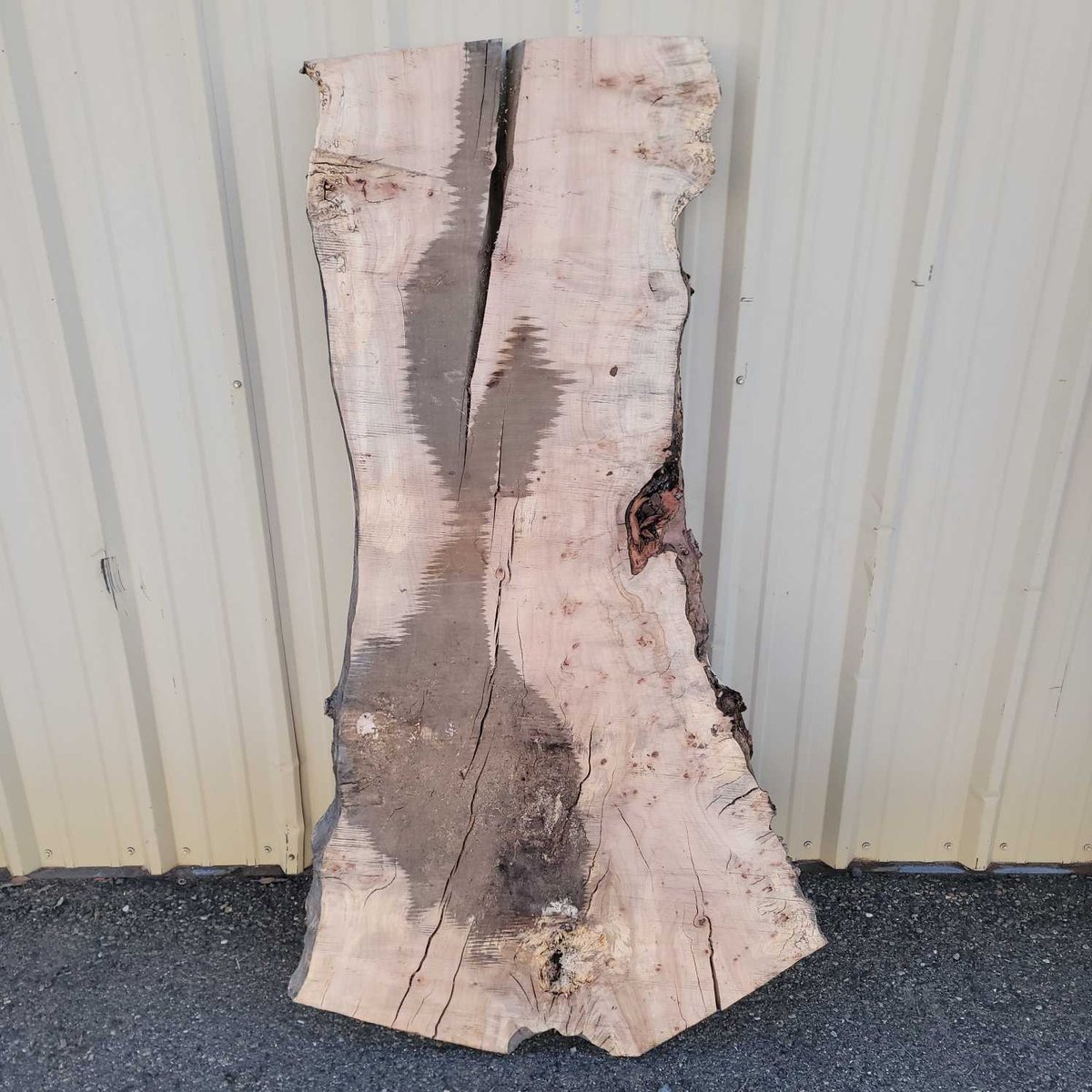 Silver Maple Slab Lumber | Far West Forest Products