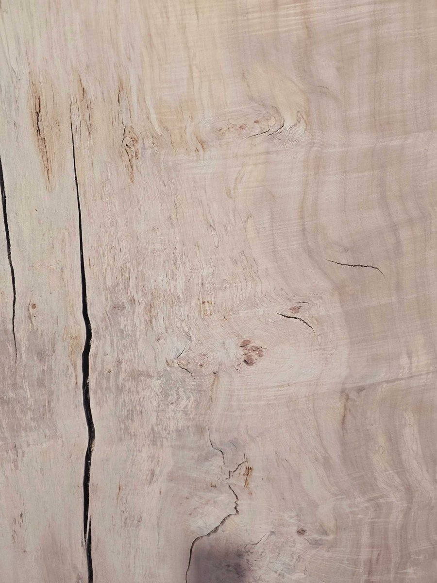 Silver Maple Slab Lumber | Far West Forest Products