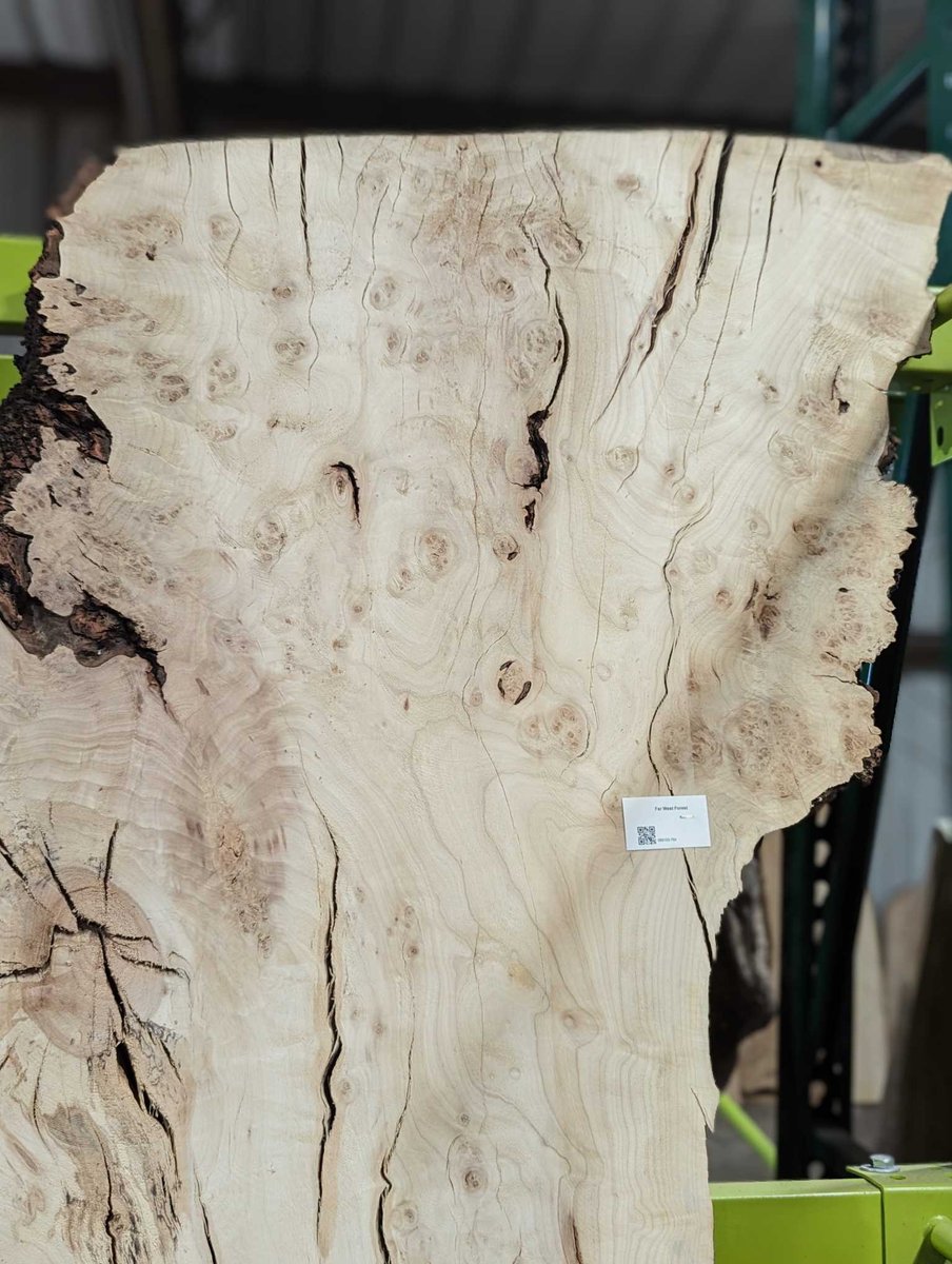 Silver Maple Slab Lumber | Far West Forest Products