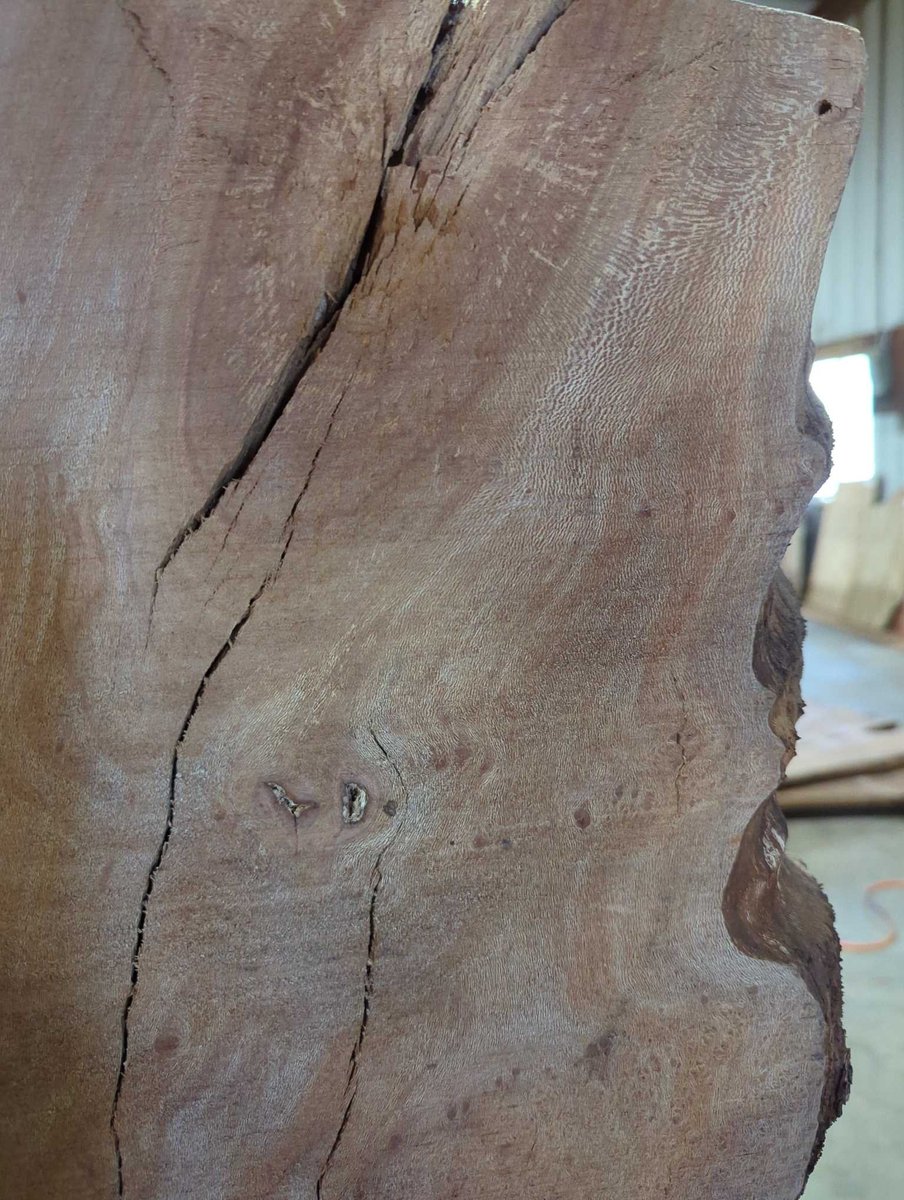 American Sycamore Board Lumber | Far West Forest Products